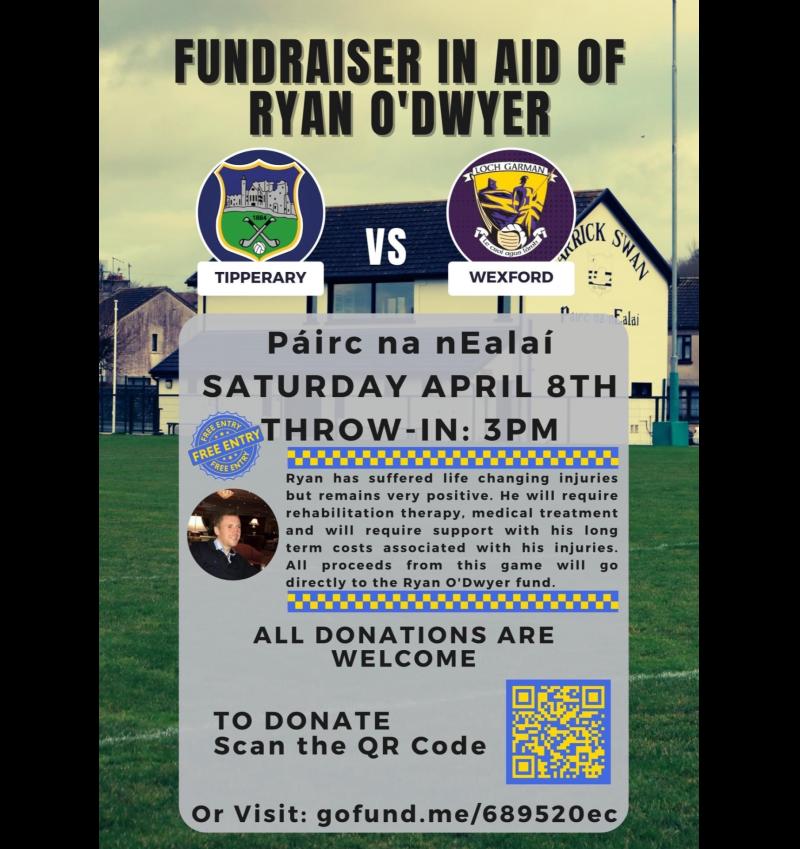 Tipperary senior hurlers to play Wexford in Carrick-on-Suir to raise ...