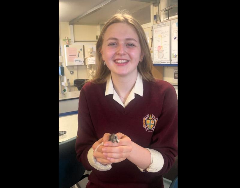 Presentation girls welcome two tiny arrivals to the school - Tipperary Live