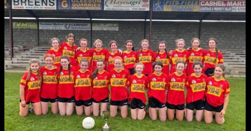 REPORTS: County success for Moycarkey Borris and Holycross Ballycahill ...
