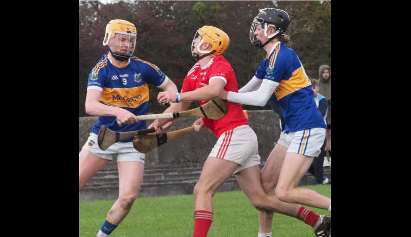 Roscrea dominate second half to down Kiladangan in tight U21A hurling ...