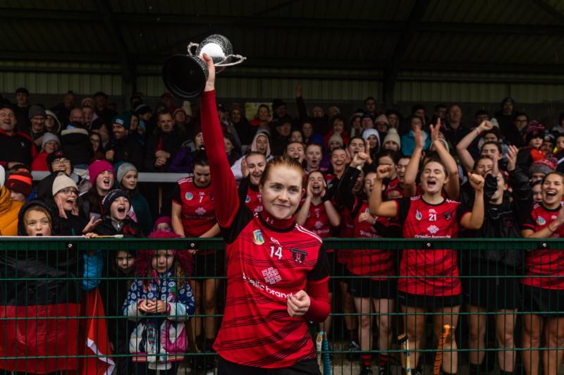 Moneygall record emphatic Junior A county final win over helpless Brian ...