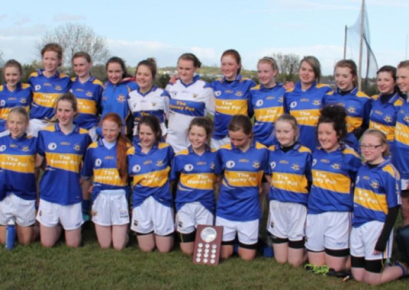 Tipperary triumph in thrilling tussle - Tipperary Live