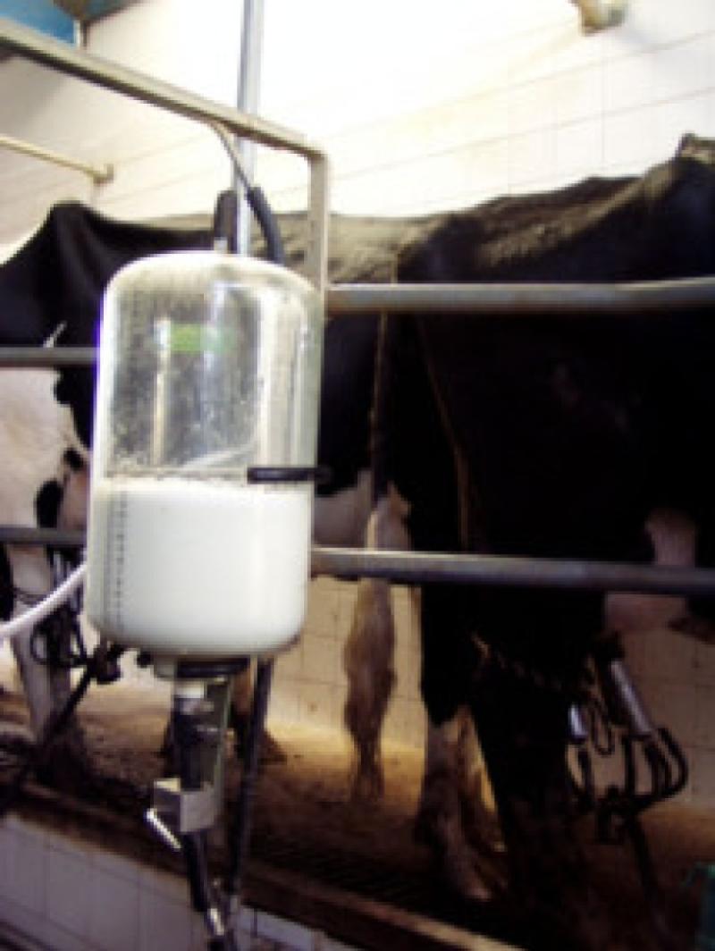 Tipperary farming: ICMSA says June milk should be 36.5cpl - Tipperary Live