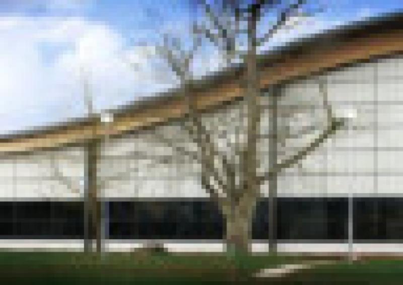 Thurles swimming pool may reopen in December - Tipperary Live