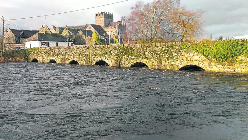 Local Tipperary village Christmas market is a roaring success ...