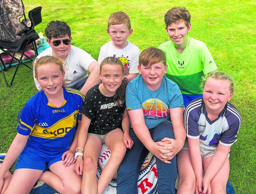 Fethard Musical Picnic - Clonacody '17 - Photo 1 of 8 - Tipperary Live