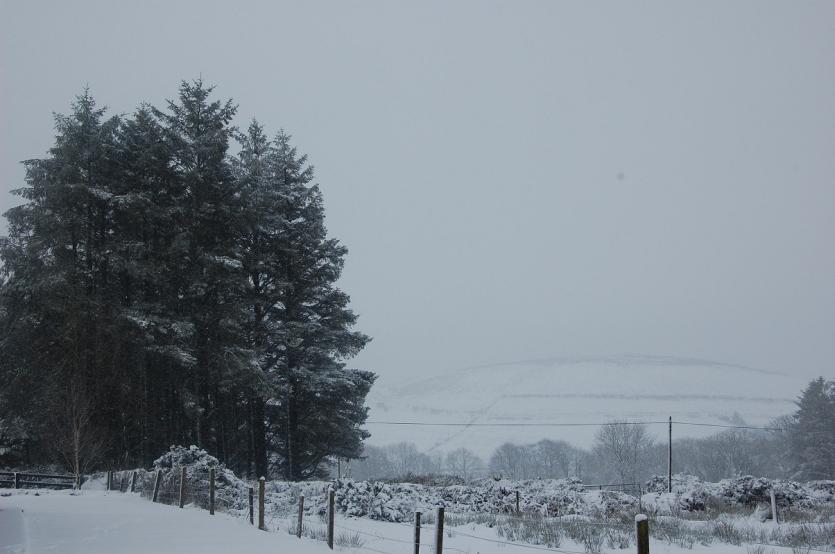 Tipperary Winter Wonderland - Photo 1 of 7 - Tipperary Live