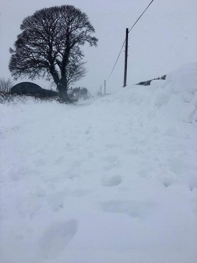 Storm Emma: Heavy snow still falling in the Slieveardagh Hills - Photo ...