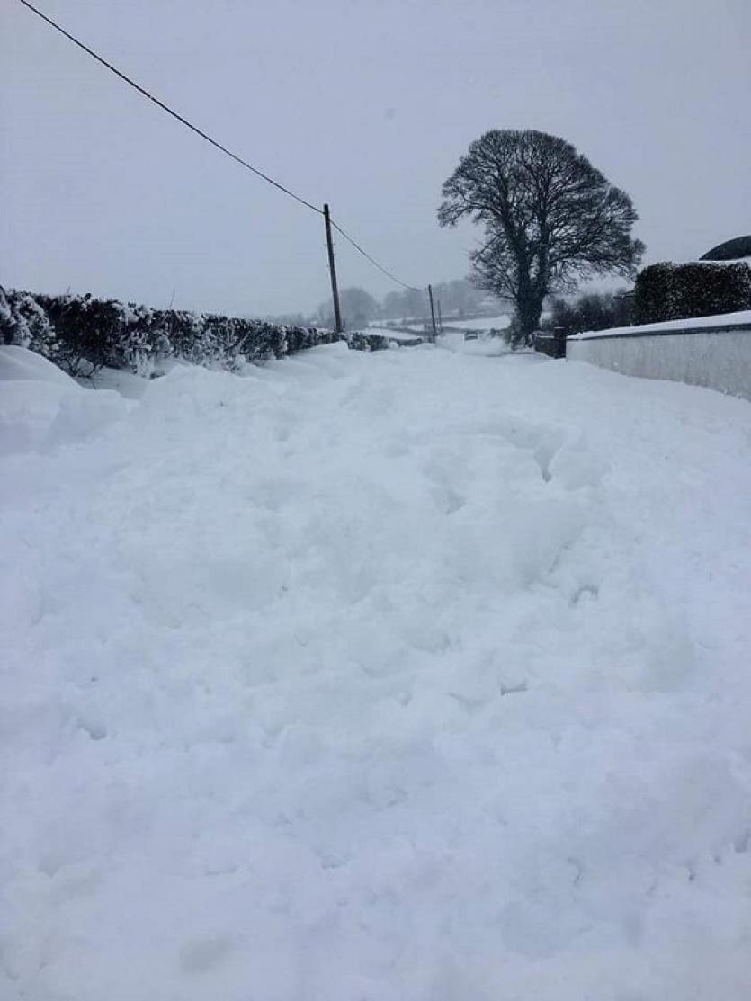 Storm Emma: Heavy snow still falling in the Slieveardagh Hills - Photo ...