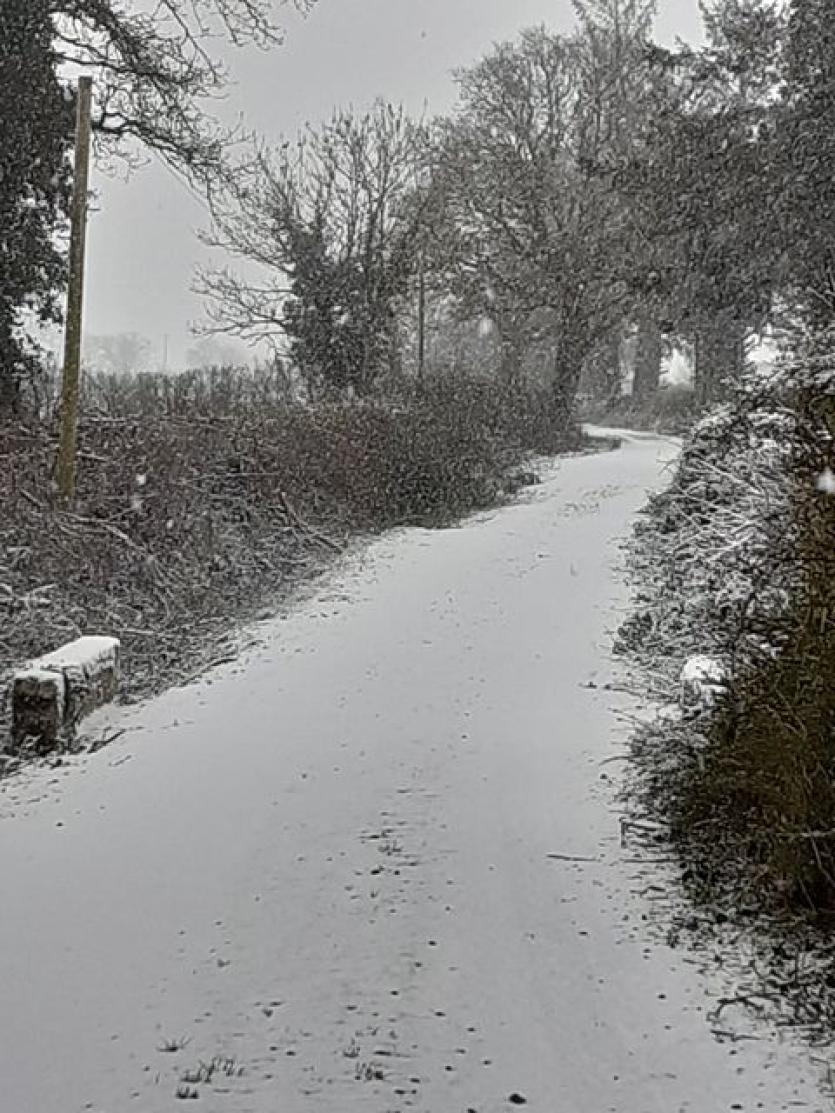 GALLERY: Readers sent us hundreds of pictures of the recent snowfall in ...