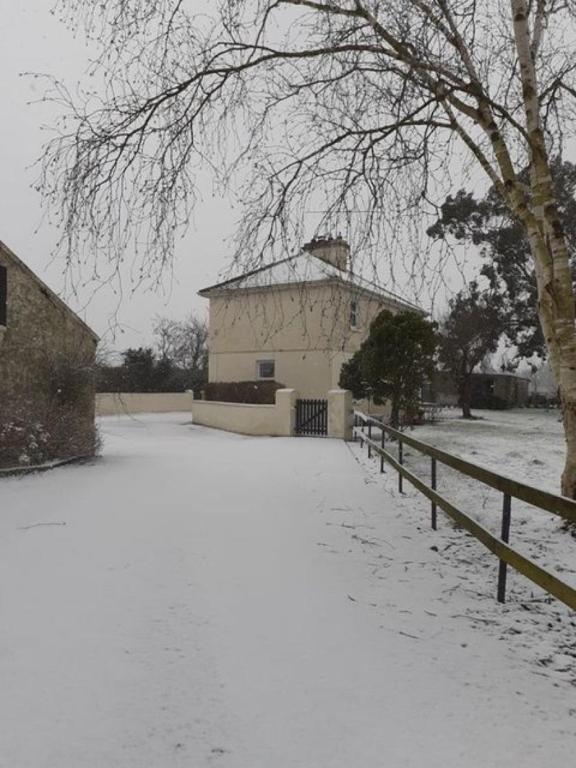 GALLERY: Readers sent us hundreds of pictures of the recent snowfall in ...