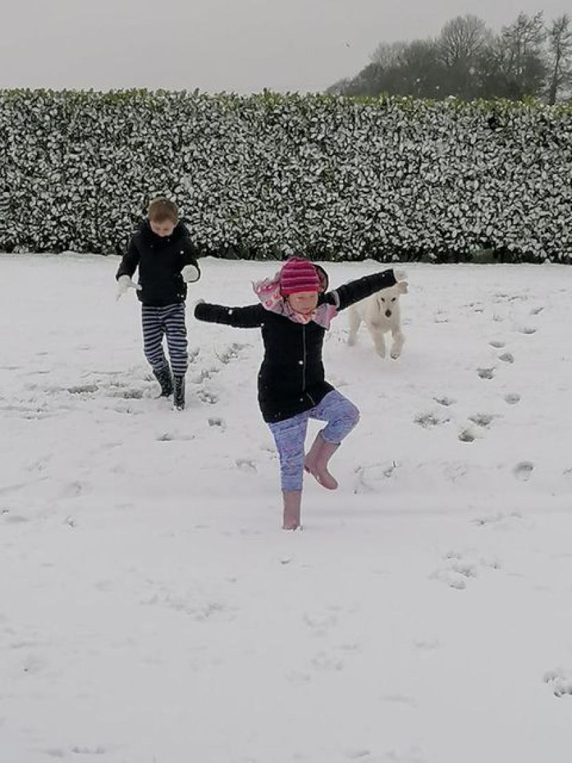 GALLERY: Readers sent us hundreds of pictures of the recent snowfall in ...