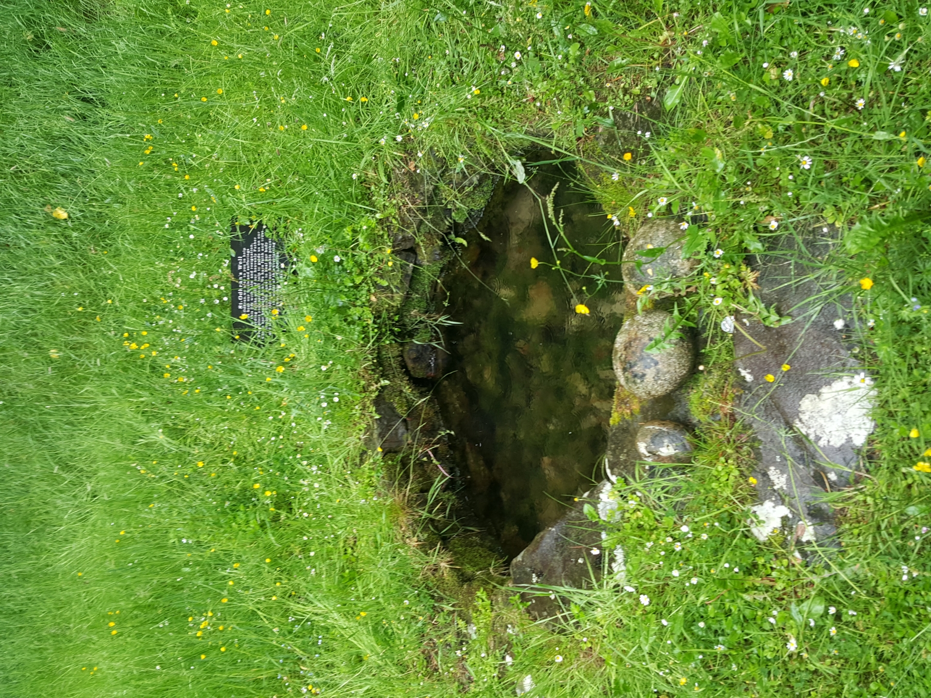 Survey of Tipperary’s Holy Wells is revealing some great stories and ...