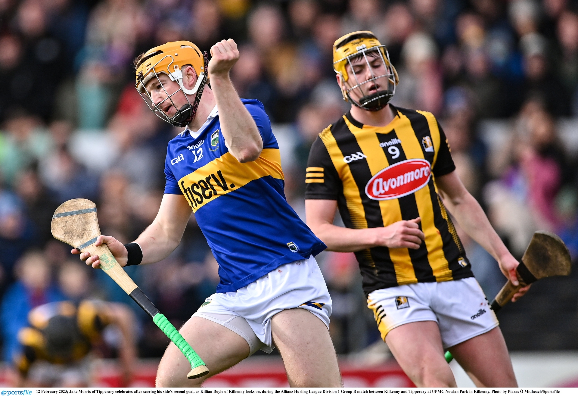 Tipperary Live player ratings - Tipperary vs Kilkenny in NHL - Round 2 ...