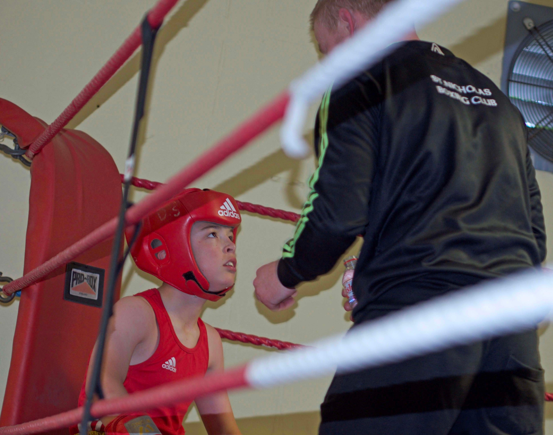Carrick-on-Suir boxing club ends its competitive season with tournament ...