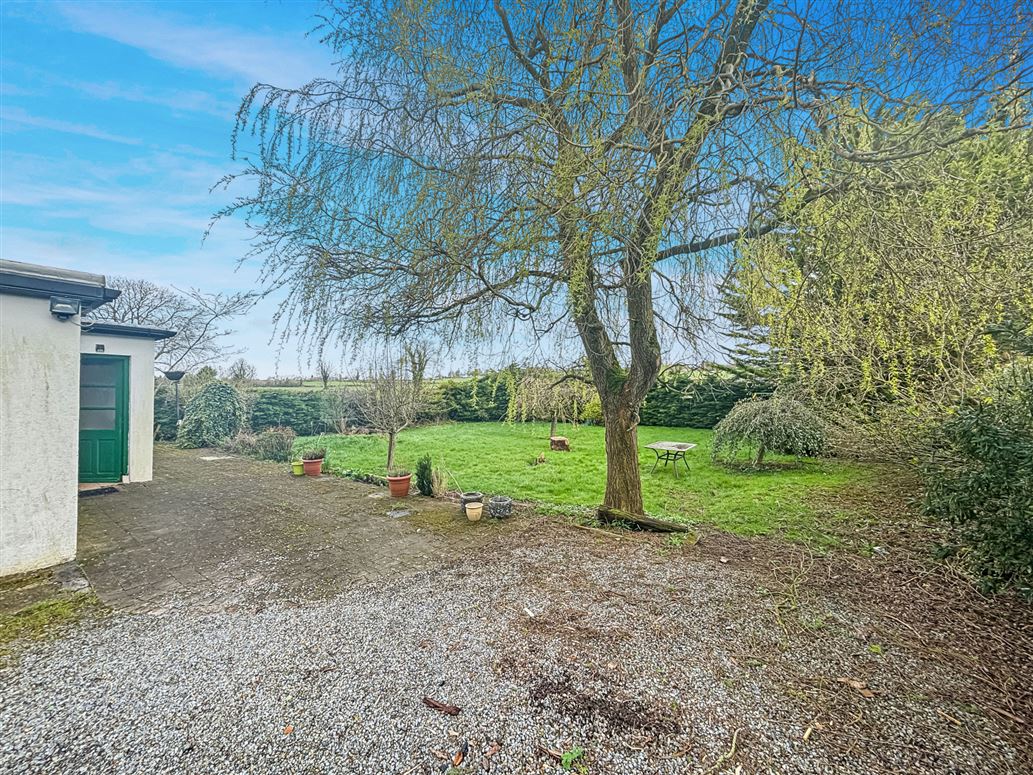 This pretty little cottage in Tipperary is more than meets the eye ...