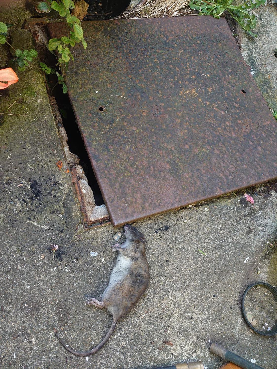LIVE: Tipperary residents' houses and yards destroyed by raw sewage ...
