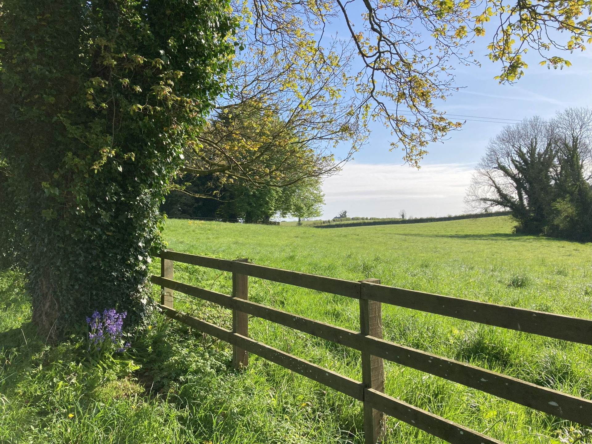 Revealed: Winning bid of €1.85m for Kill House and farm in Tipperary ...