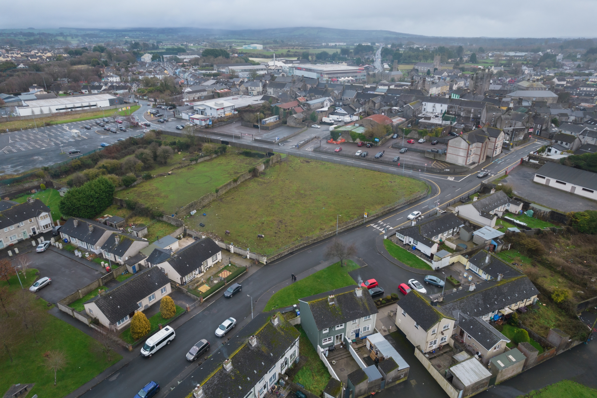 BIG READ: The Roscrea town project that wowed the Royal Institute of ...