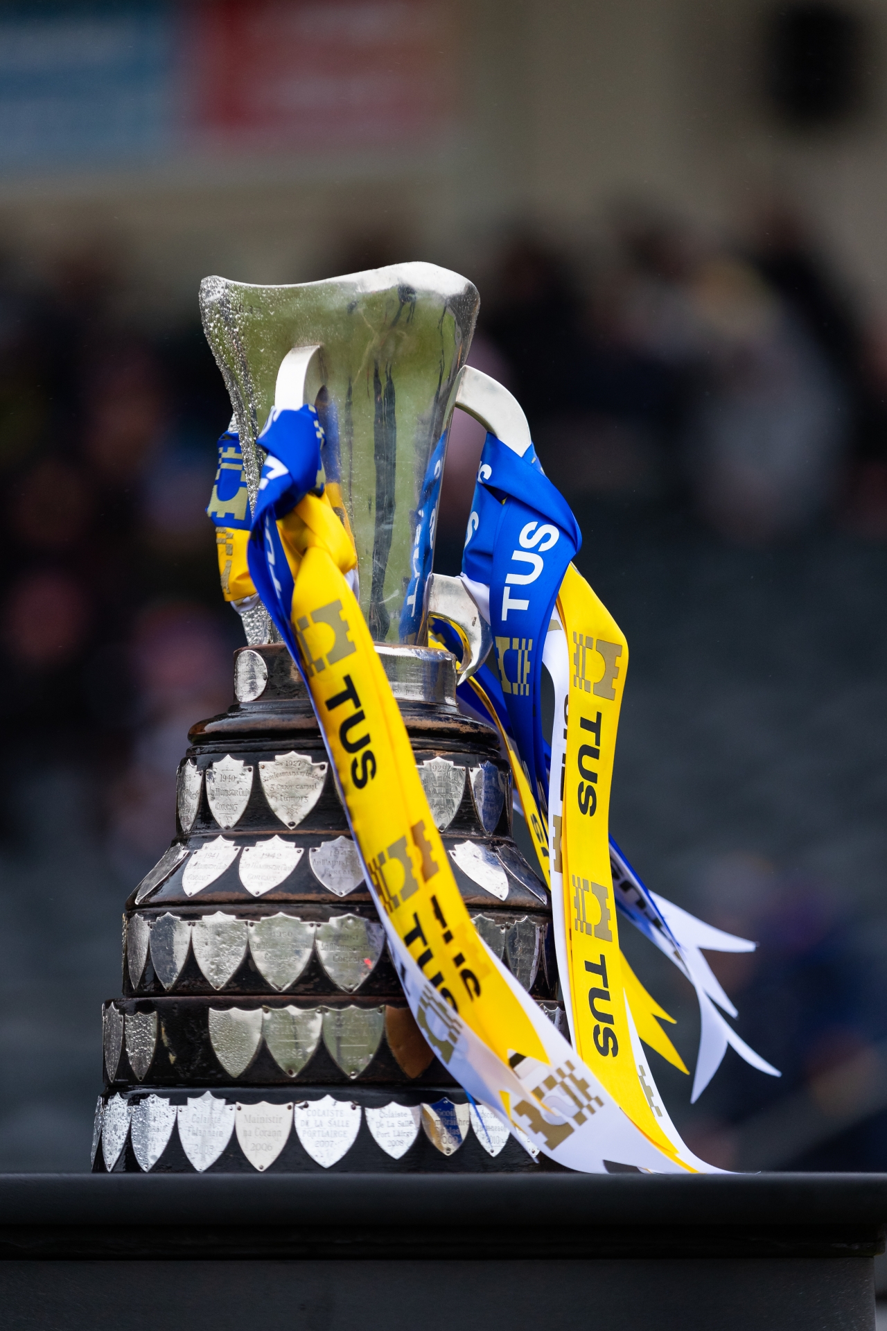 IN PICTURES: See all the snaps and celebrations of Thurles CBS's ...